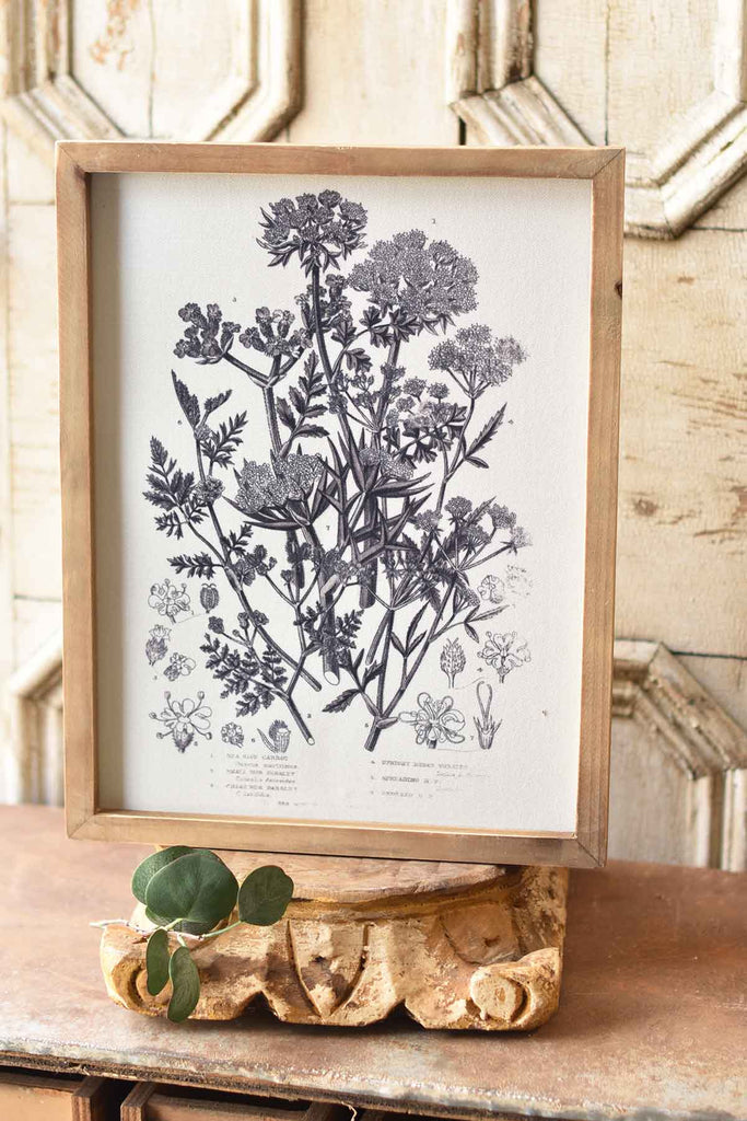 Botanical Framed Art | Shop from The Vintage Home Studio